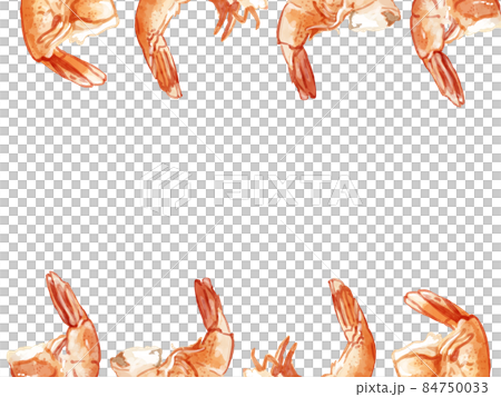 Hand-painted watercolor steamed shrimp... - Stock Illustration ...