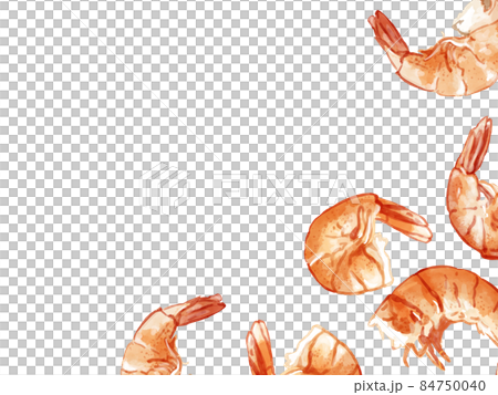 Hand-painted watercolor steamed shrimp... - Stock Illustration ...
