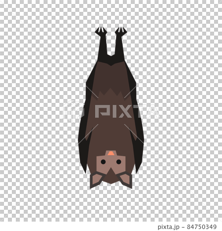 Illustration of Southeast Asian Long-Fat Bat - Stock Illustration ...