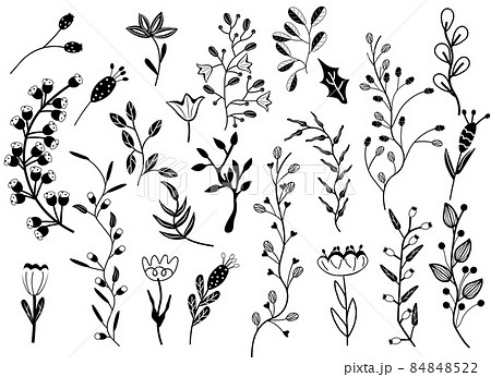 Big collection flowers, leaves, tree branches,...のイラスト素材 [84848522] - PIXTA