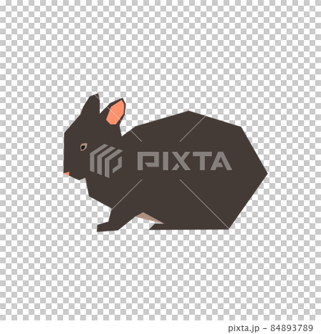 Illustration of Amami rabbit - Stock Illustration [84893789] - PIXTA