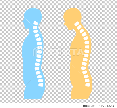 Posture illustration of stoop and spine - Stock Illustration [84903823 ...