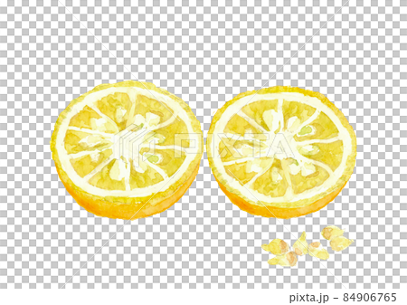 Cross section and seeds of Yuzu cut in two... - Stock Illustration ...