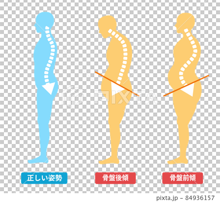 Pelvic forward and backward tilt: Correct... - Stock Illustration ...