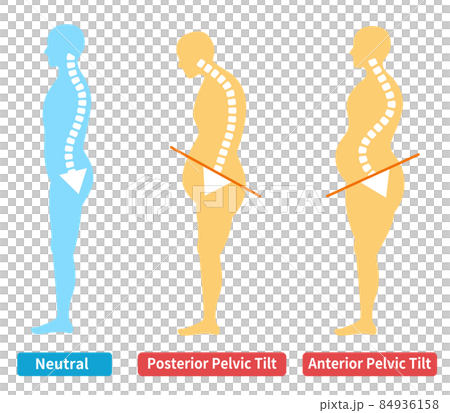 Pelvic forward and backward tilt: Correct... - Stock Illustration ...