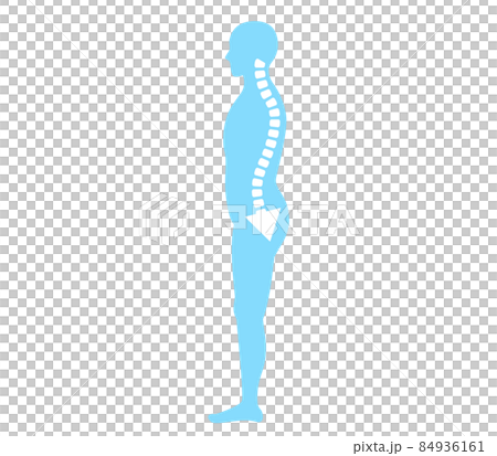 Pelvic forward and backward tilt: Correct... - Stock Illustration ...