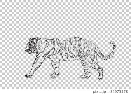 Horizontal line drawing large horizontal - Stock Illustration [84975378 ...