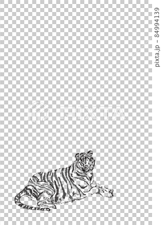 White tiger sitting line drawing large vertical - Stock Illustration ...
