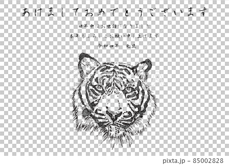 White tiger face line drawing - Stock Illustration [85002828] - PIXTA