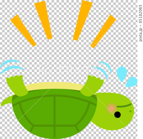 Turtle struggling to turn over - Stock Illustration [85182065] - PIXTA