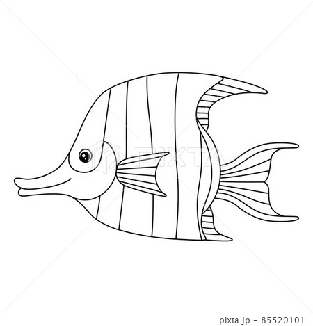 エンゼルフィッシュ ぬり絵