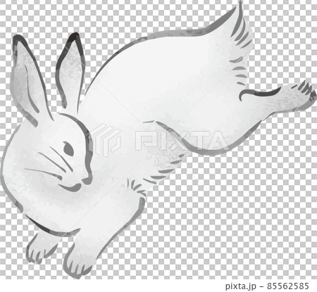 Rabbit Rabbit Rabbit Year Sumi-e Ink Painting... - Stock Illustration ...