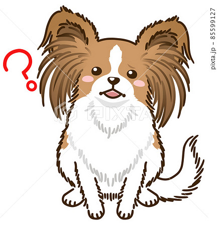 疑問に思うパピヨン（レッドホワイト）のイラスト素材 [85599127] - PIXTA