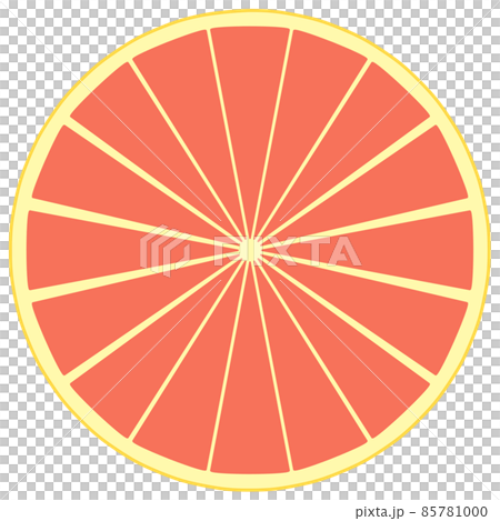 Cross section of grapefruit - Stock Illustration [85781000] - PIXTA
