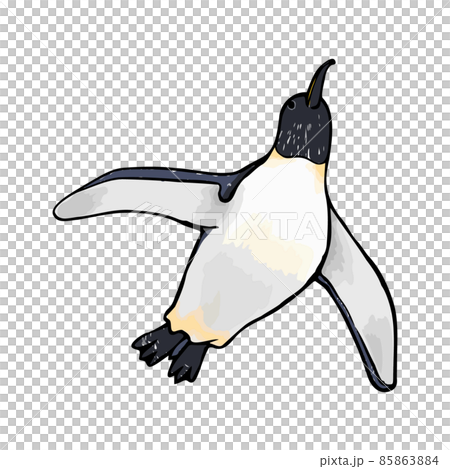 Swim emperor penguin hand-drawn illustration - Stock Illustration ...
