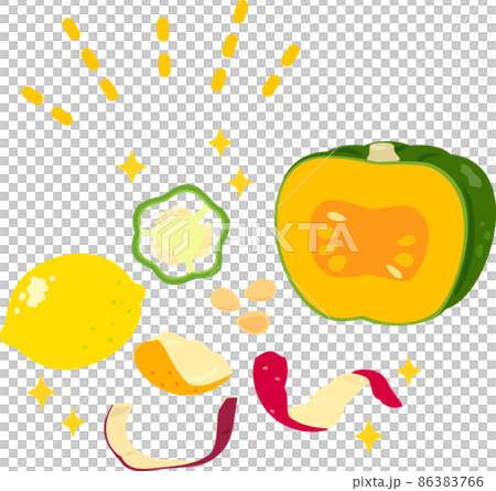 Vegetables Fruit skins and seeds - Stock Illustration [86383766] - PIXTA
