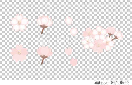Sakura parts set - Stock Illustration [86410629] - PIXTA