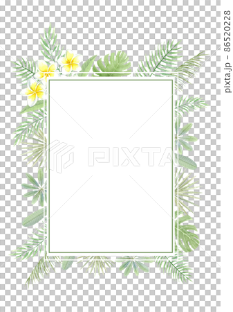 雞蛋花和夏葉外框垂直水彩插圖-插圖素材 [86520228] - PIXTA圖庫