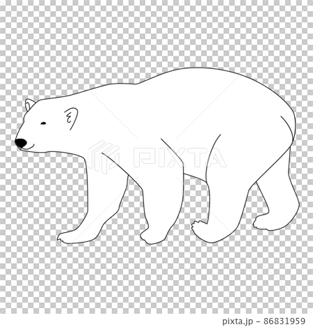 Polar bear Arctic bear line drawing monochrome... - Stock Illustration ...