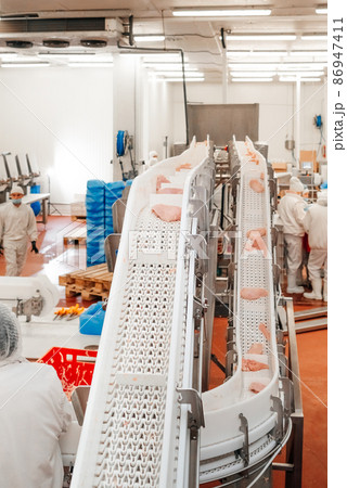 Modern Food Assembly Line