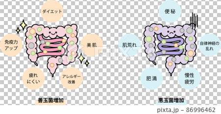 Illustration of intestinal environment - Stock Illustration [86996462 ...