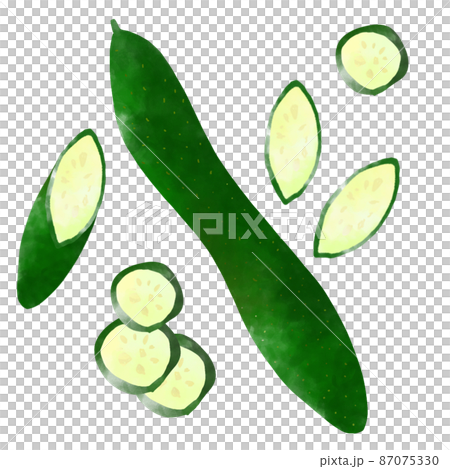Vegetable diagonally cut cucumber watercolor... - Stock Illustration ...