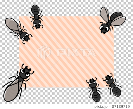 Cute black ants and frame background - Stock Illustration [87189719 ...