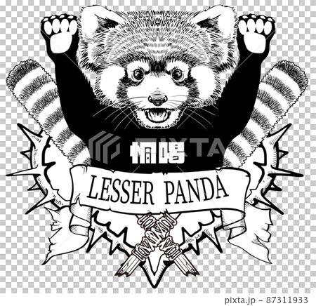 Intimidation of a red panda - Stock Illustration [87311933] - PIXTA