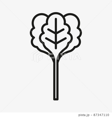 Vector rhubarb icon isolated on white backgroundのイラスト素材 [87347110] - PIXTA