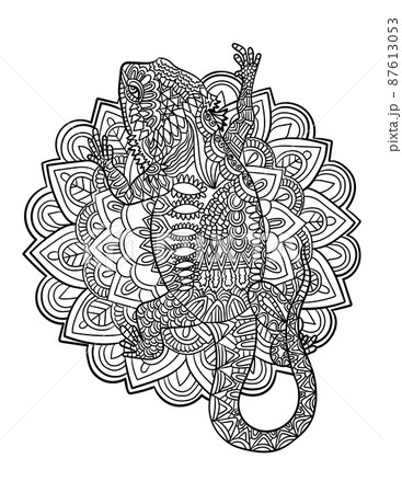 Lizard Mandala Coloring Pages Lizard Adult Coloring Book Stock