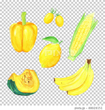 Yellow food illustration set drawn with... - Stock Illustration ...