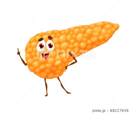 Cartoon Pancreas