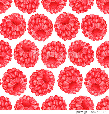 Raspberry seamless pattern. Watercolor...のイラスト素材 [88243852] - PIXTA