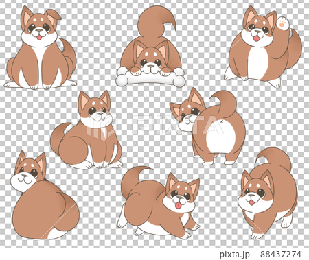 Shiba Inu pose collection - Stock Illustration [88437274] - PIXTA