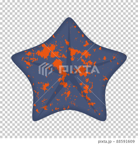 Illustration of Itomaki starfish - Stock Illustration [88591609] - PIXTA