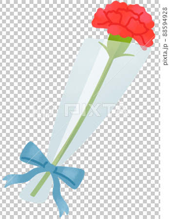 One carnation - Stock Illustration [88594928] - PIXTA