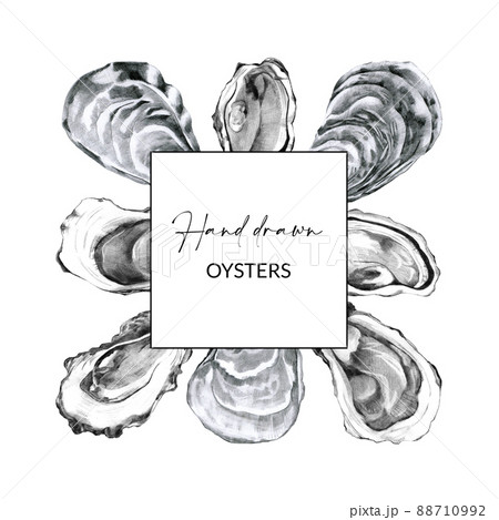Border with hand drawn oystersのイラスト素材 [88710992] - PIXTA