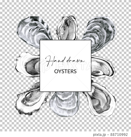 Border with hand drawn oystersのイラスト素材 [88710992] - PIXTA