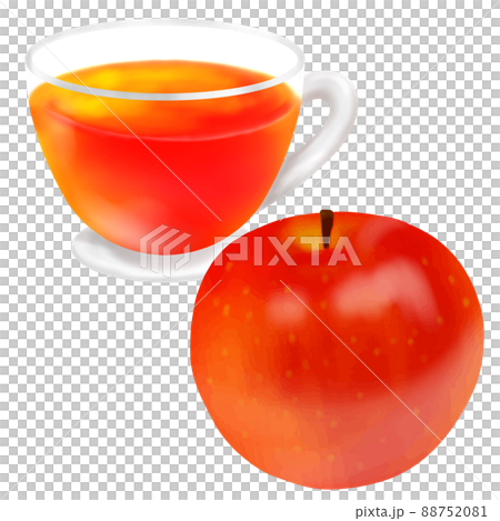 Apple tea - Stock Illustration [88752081] - PIXTA
