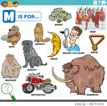 Animals That Start With M