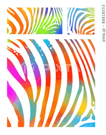 Multi colored Zebra print background. Vector...のイラスト素材 [88818553] - PIXTA