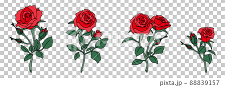 Rose flower set (raster image) - Stock Illustration [88839157] - PIXTA
