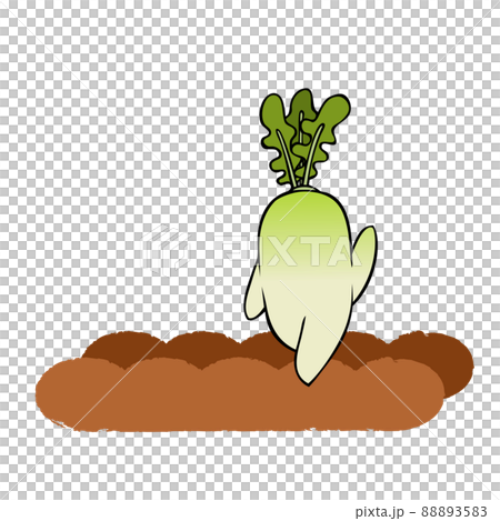 Walking radish 2 - Stock Illustration [88893583] - PIXTA