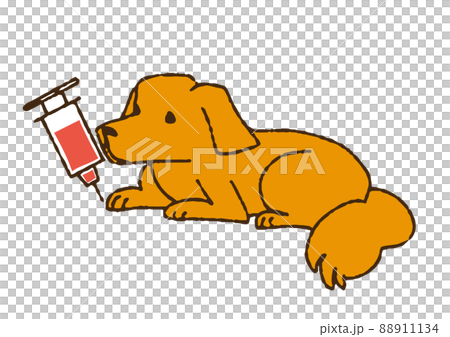 A dog whose blood is being collected Comical... - Stock Illustration ...