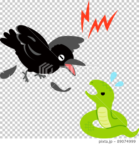 Crows attacking snakes, natural enemies - Stock Illustration [89074999 ...