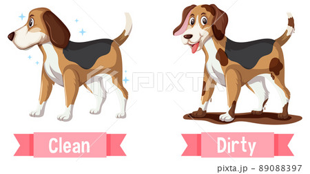 Clean And Dirty Opposites