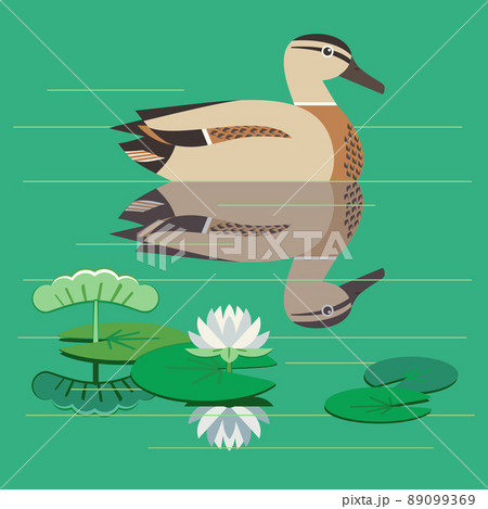 Mallard female duck simple flat color vector iconのイラスト素材 [89099369] - PIXTA