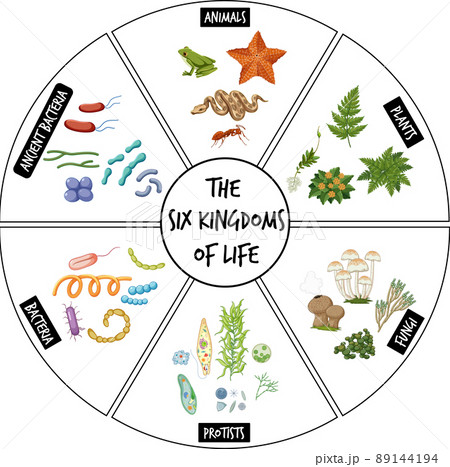 Six Kingdoms Of Life