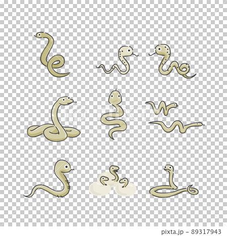 Cute snake (illustration icon) - Stock Illustration [89317943] - PIXTA