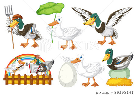 Set of different poses of ducks cartoon charactersのイラスト素材 [89395141 ...